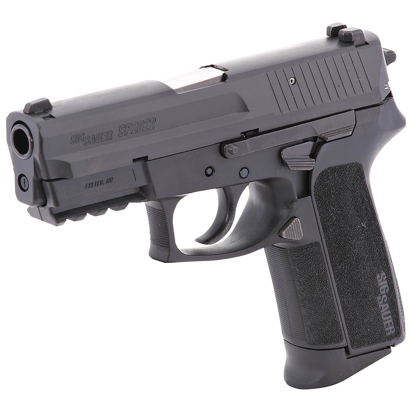 SIG SAUER SP2022 NITRON 40 S&W COMPACT 12-ROUND PISTOL - ArmsCor USA